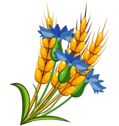 Wheat flower Royalty Free Vector Image - VectorStock