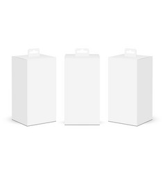Cardboard rectangular boxes with hang tab Vector Image
