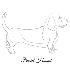 Basset hound dog breed outline Royalty Free Vector Image