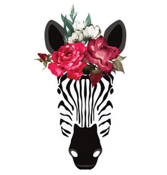 Fancy zebra Royalty Free Vector Image - VectorStock