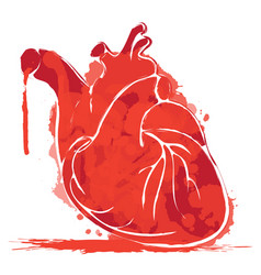 Watercolor human heart with splashes of blood Vector Image