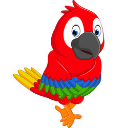 Cute macaw cartoon Royalty Free Vector Image - VectorStock