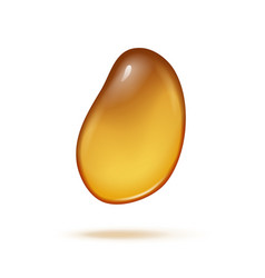 Amber Royalty Free Vector Image - VectorStock