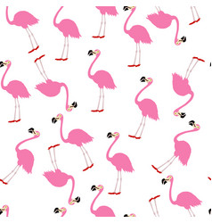 Flamingo background design tropical flowers Vector Image