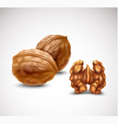 Walnut in shell icon Royalty Free Vector Image