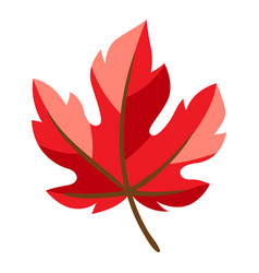 Autumn maple leaf Royalty Free Vector Image - VectorStock