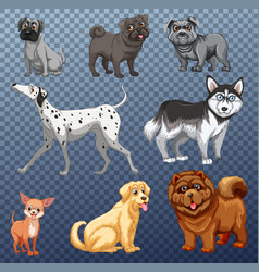 Set cute animals number Royalty Free Vector Image