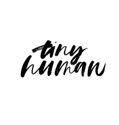 Human evolution Royalty Free Vector Image - VectorStock