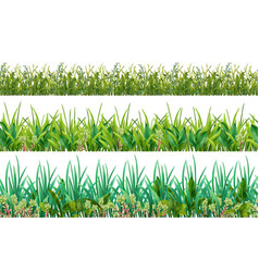 Super realistic grass Royalty Free Vector Image