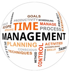 Word cloud program management Royalty Free Vector Image