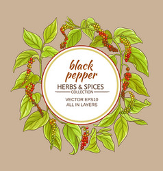 Allspice branch frame Royalty Free Vector Image