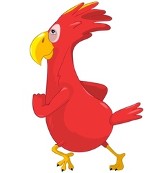 Parrot cockatoo australian bird flat cartoon Vector Image