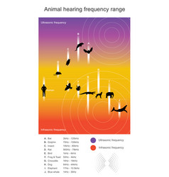 Animal hearing frequency range hearing range Vector Image