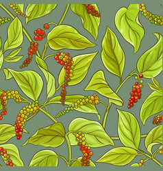 Black ground pepper Royalty Free Vector Image - VectorStock