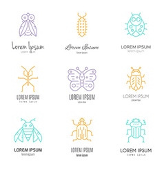 Bugs logo Royalty Free Vector Image - VectorStock