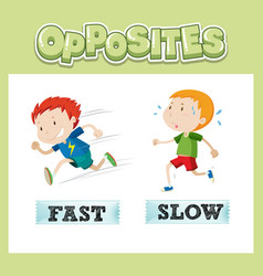 Rabbit runs fast and turtle slow Royalty Free Vector Image