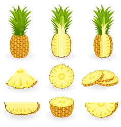 Pineapple Royalty Free Vector Image - VectorStock