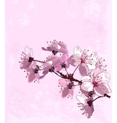 Spring in pink Royalty Free Vector Image - VectorStock