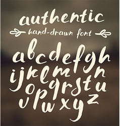 Hand drawn typeface brush painted letters Vector Image