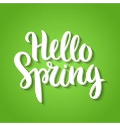 Hello lovely lettering phrase for postcard banner Vector Image