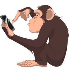 Monkey with a pot of gold Royalty Free Vector Image