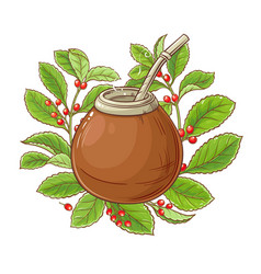 Mate tea Royalty Free Vector Image - VectorStock