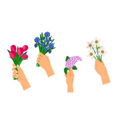 Hand holding colorful flowers on white background Vector Image
