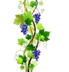 Vine nature frame Royalty Free Vector Image - VectorStock
