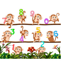 Lets count with monkey Royalty Free Vector Image