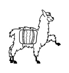 Isolated outline cartoon baby llama Royalty Free Vector