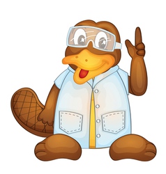 Stylized platypus isolated on white background Vector Image