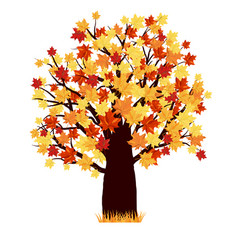 Autumn tree set Royalty Free Vector Image - VectorStock