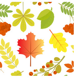 Autumn leaves background Royalty Free Vector Image