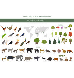 Monsoon forest biome natural region infographic Vector Image