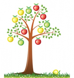 Apple tree Royalty Free Vector Image - VectorStock