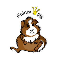 Letter g for guinea pig cartoon Royalty Free Vector Image