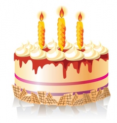 Birthday cake on white background Royalty Free Vector Image