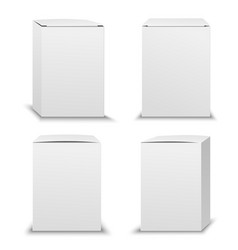 Realistic White Package carton Box For Software Vector Image