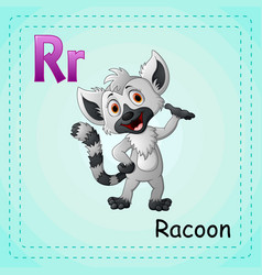Animals alphabet r is for raccoon Royalty Free Vector Image