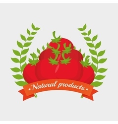 Healthy product design Royalty Free Vector Image