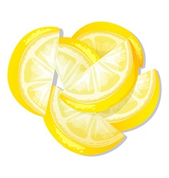 Sliced lemon Royalty Free Vector Image - VectorStock