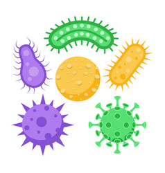 Flat design circulatory system infographic Vector Image