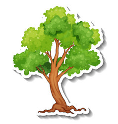 Tree sticker on white background Royalty Free Vector Image