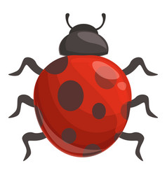 Ladybug insect icon cartoon flower bug Royalty Free Vector