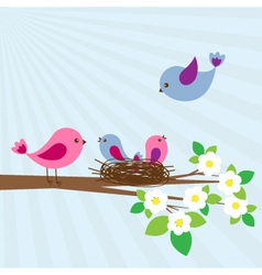 Family of birds Royalty Free Vector Image - VectorStock